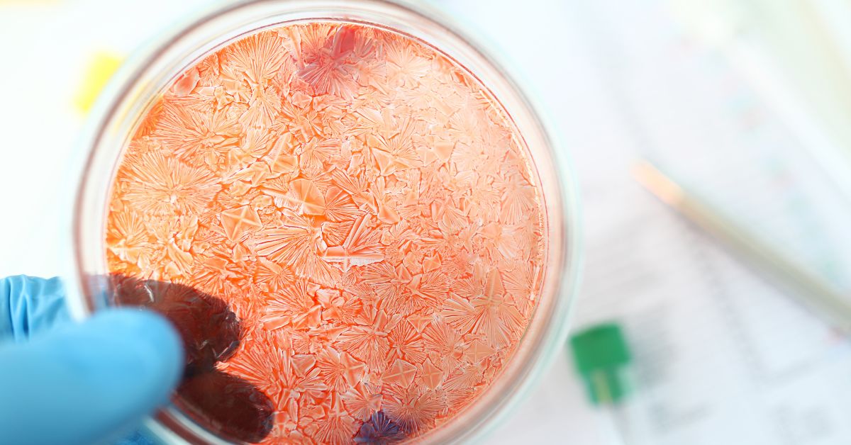 What Is Bioassay In Pharmacology: Types & Advantages