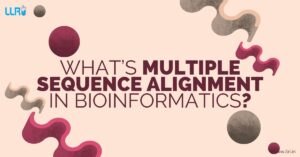 What’s Multiple Sequence Alignment in Bioinformatics? Methods & Applications