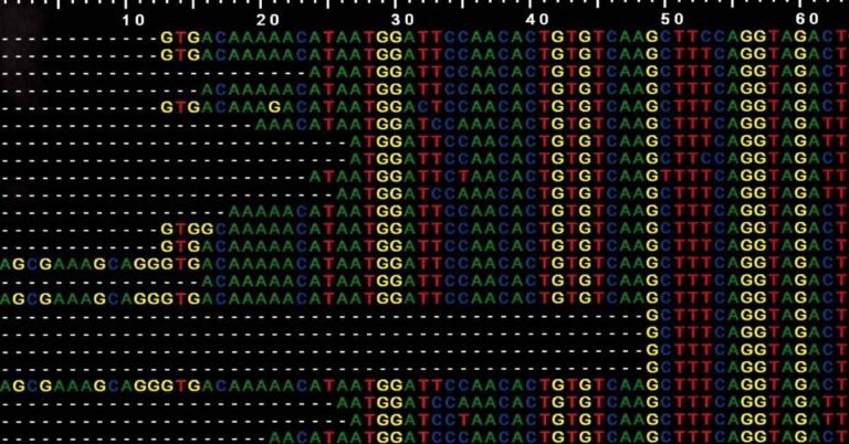 Whats Multiple Sequence Alignment In Bioinformatics Methods And Applications